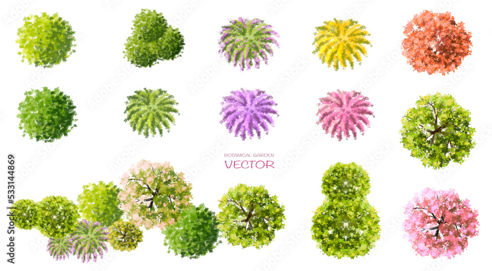 Vector watercolor of blooming tree top view isolated on white ...