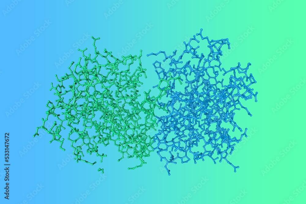 Nitrogen regulatory bacterial protein IIa-nitrogen. Molecular model ...