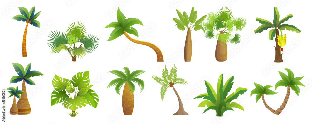 Tropical palm trees and beach or jungle plants set vector illustration ...