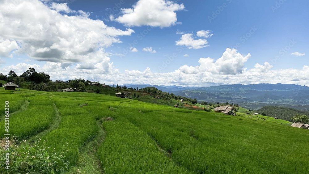 Beautiful steps of rice terraces view at Chiang Mai, Thailand. Stock ...