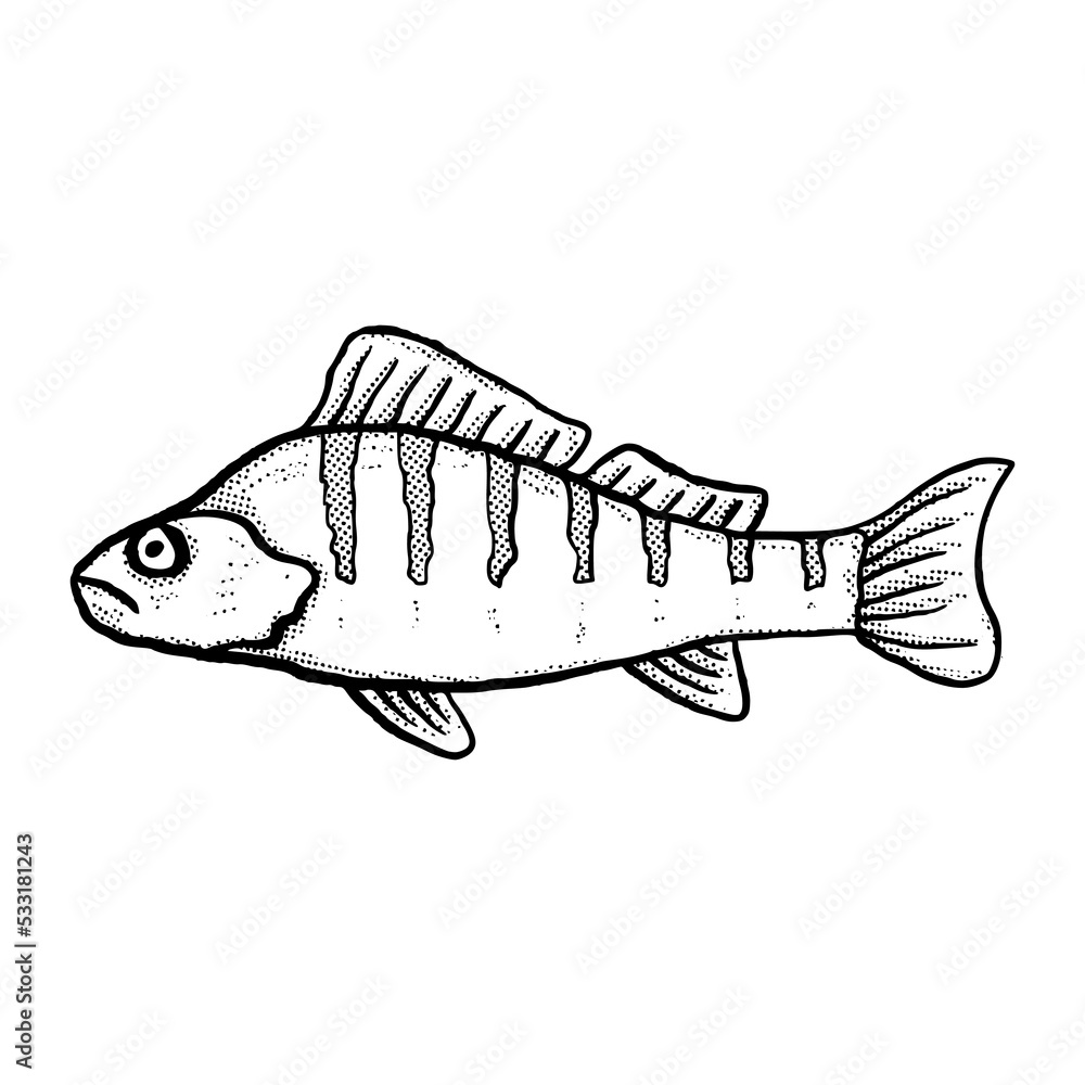 Fish Illustration hand drawn cartoon sketch lineart vintage style ...
