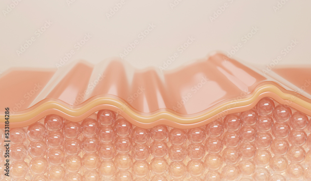 collagen and vitamin under skin cell. serum through the skin layer and ...