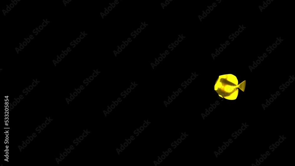 Golden Shiny Metal Fish, animated fish, Fish animation, Gold metal fish ...