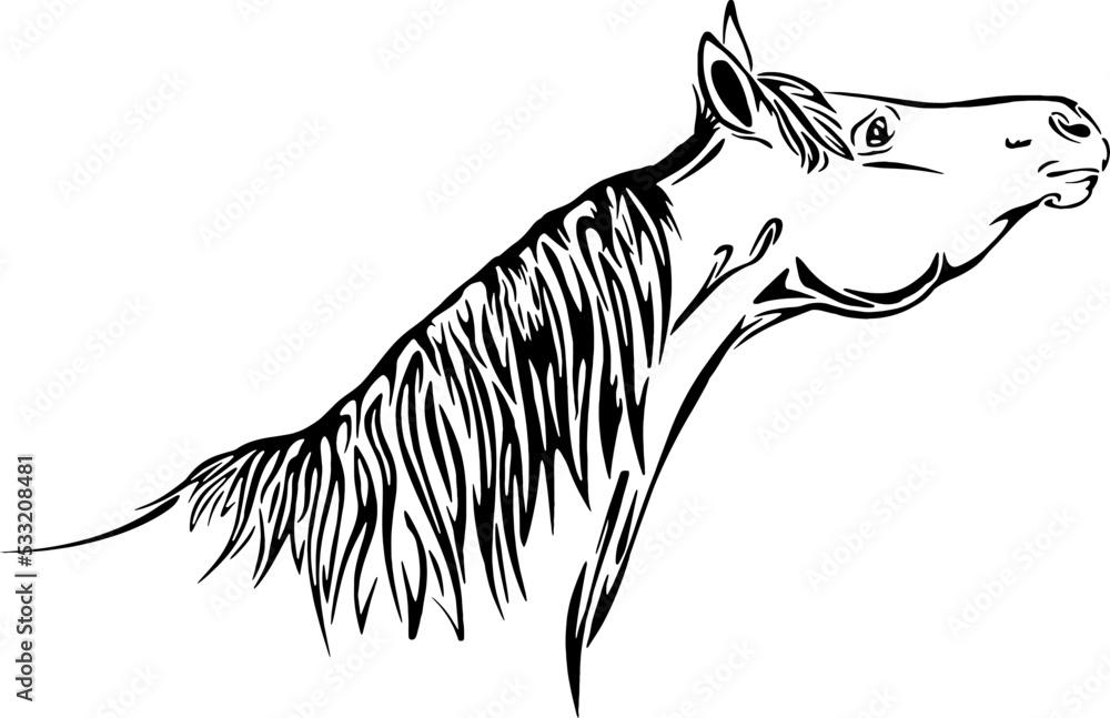 Arabian horse portrait, outline vector design Stock Vector | Adobe Stock