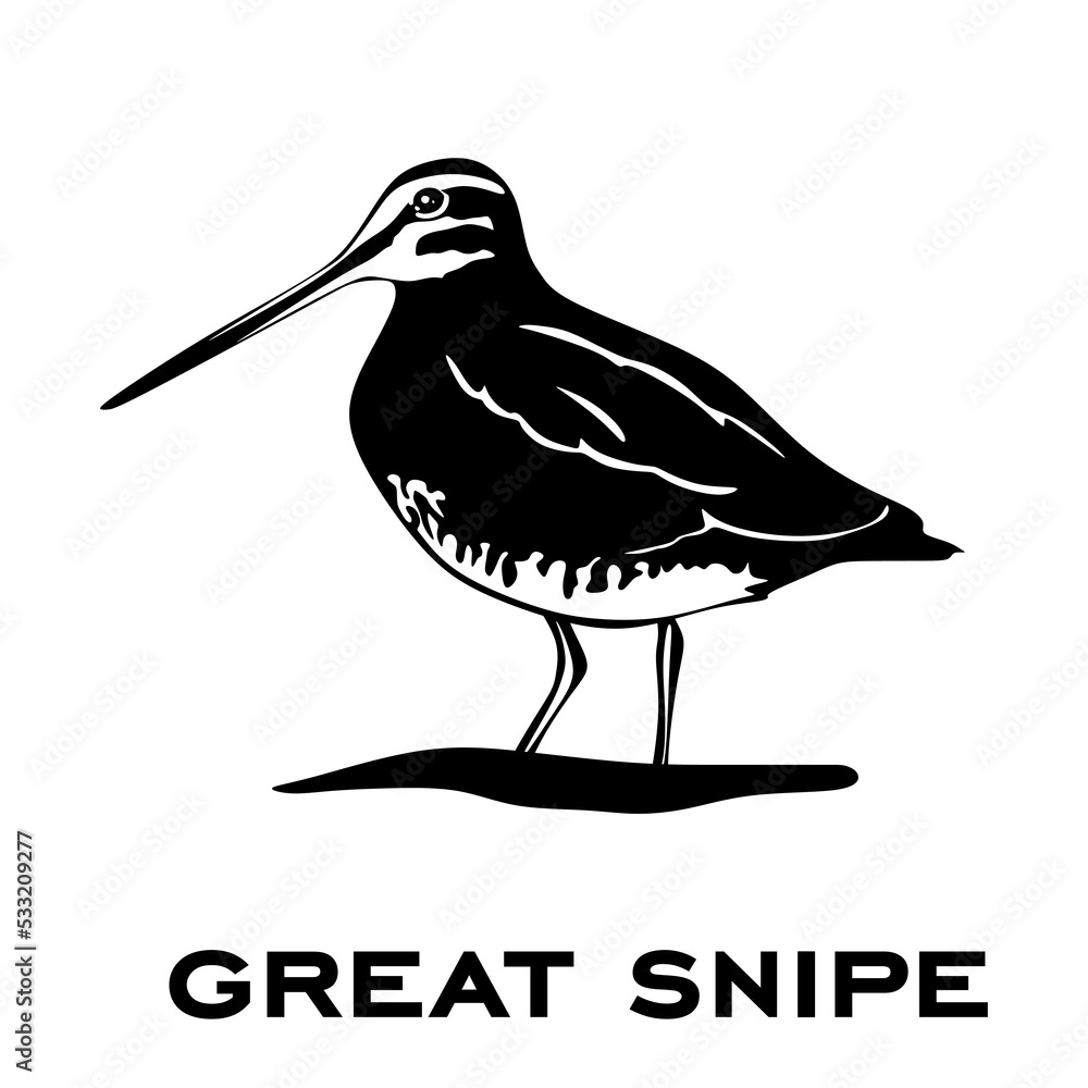 Great snipe logo isolated on white background. Bird sign. Great snipe ...
