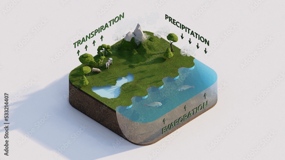 The water cycle educational 3d model Stock Illustration | Adobe Stock