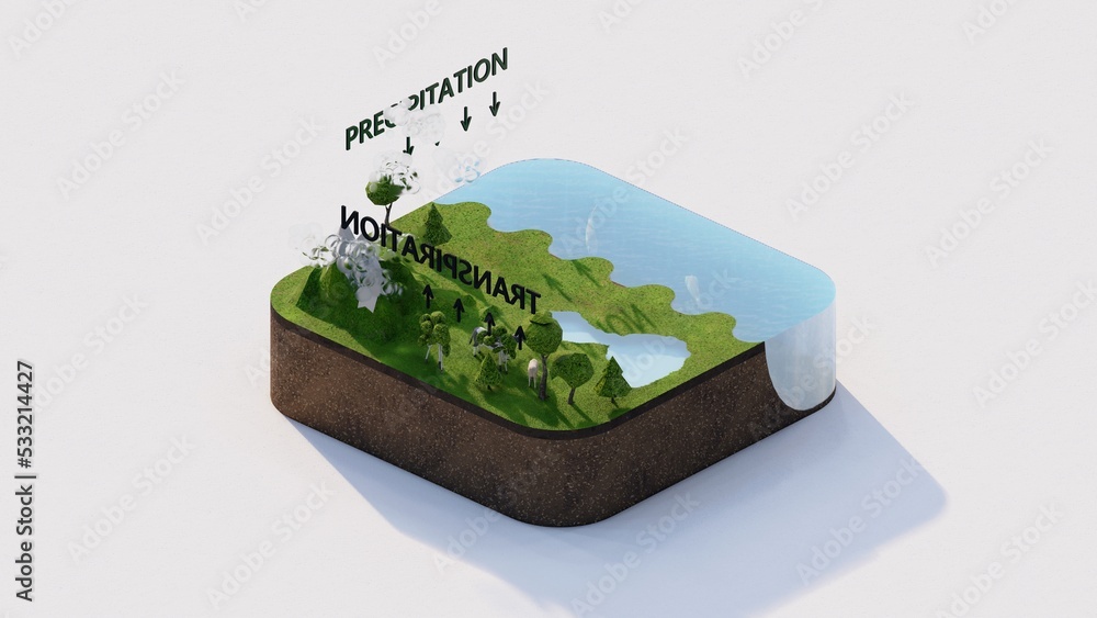 Water cycle diagram 3d model Stock Illustration | Adobe Stock