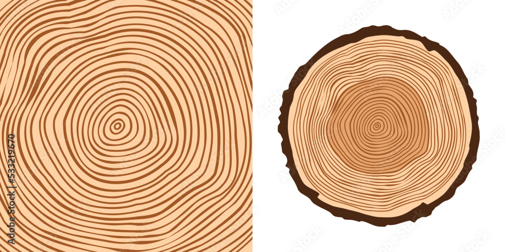 Round tree trunk cut, sawn pine or oak slice. Saw cut timber, wood ...