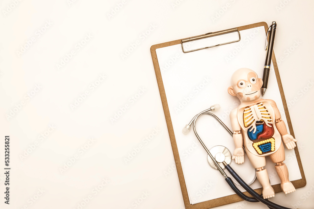 Human body anatomy with stethoscope placed on paper report, medical ...