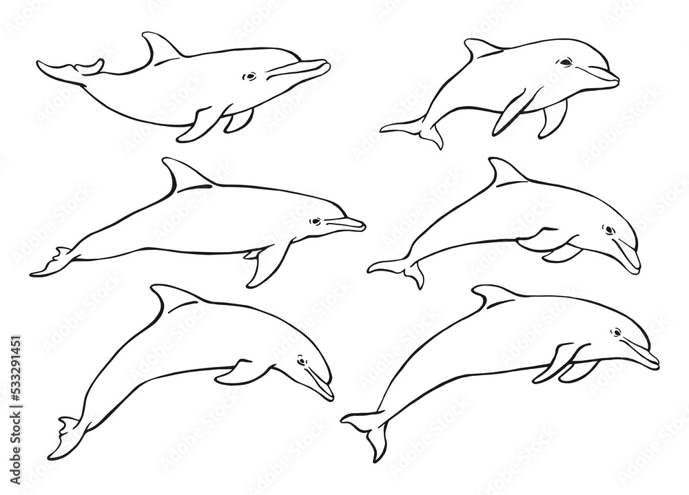 Set of dolphin. Hand drawn illustration converted to vector. Vector ...