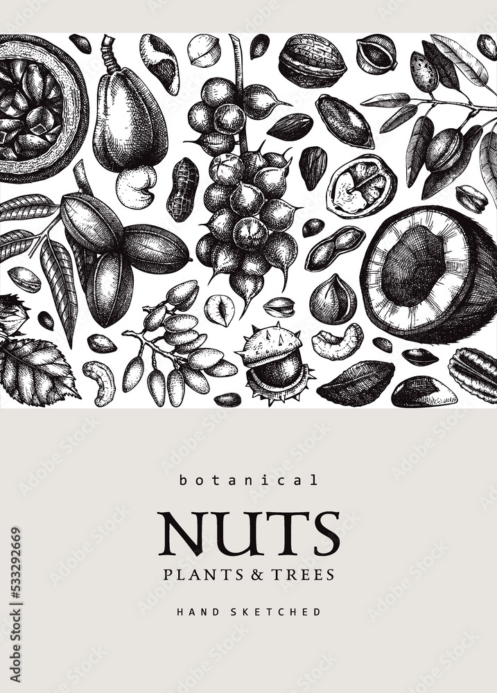 Vettoriale Stock Vector nuts card in vintage style. Vintage nuts ...