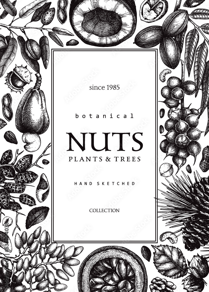 Vector nuts card in vintage style. Vintage nuts sketched frame. Healthy ...