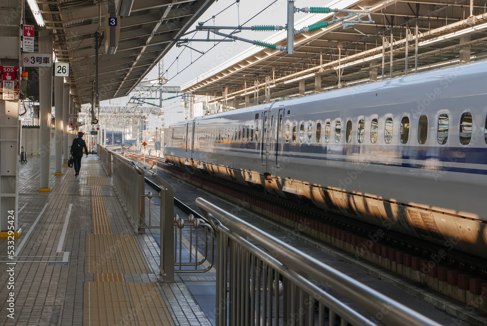SHIN-OSAKA, JAPAN-CIRCA 2018: Shinkansen N700A series at Shin-Osaka ...