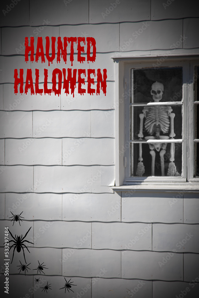 White, scary, staring skeleton looking out through a window of a ...
