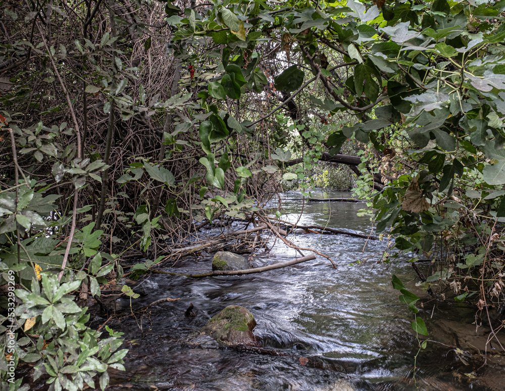 Dan River, originating from Tel Dan springs, the largest of the Jordan ...
