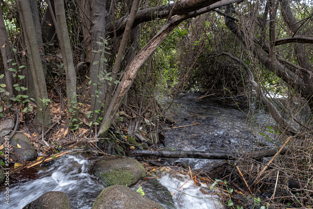 Dan River, originating from Tel Dan springs, the largest of the Jordan ...