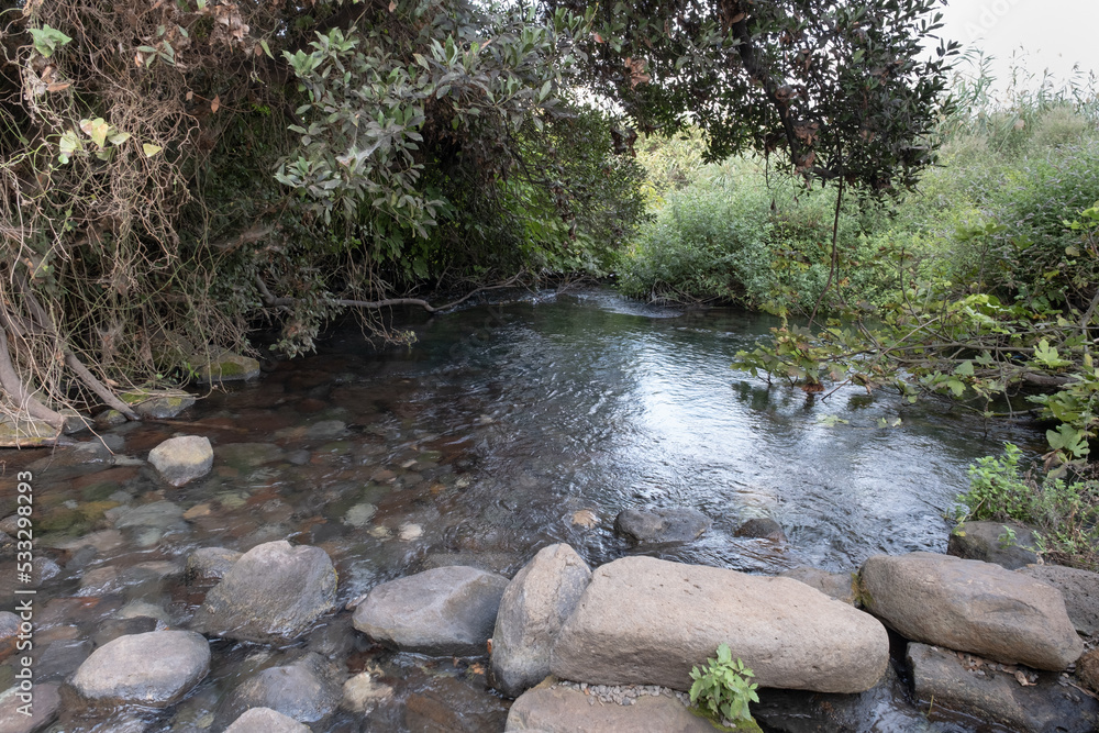 Dan River, originating from Tel Dan springs, the largest of the Jordan ...