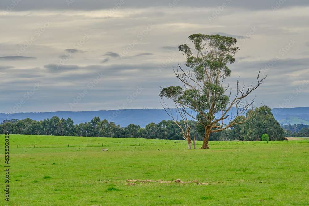 Yarra Ranges National Park is located in the Central Highlands of ...