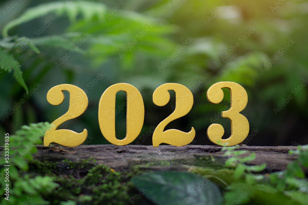 2023 text.against a on a green background of moss. happy new year 2023 ...