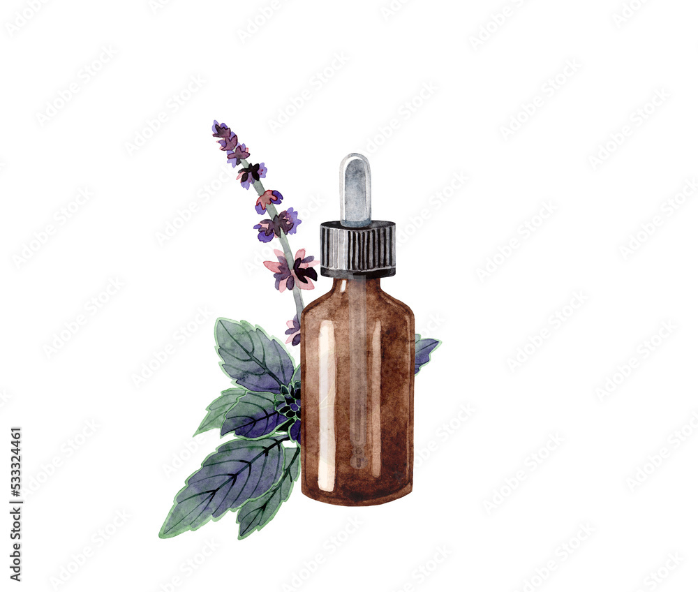 Watercolor illustration with essential oil of patchouli. Hand drawn ...