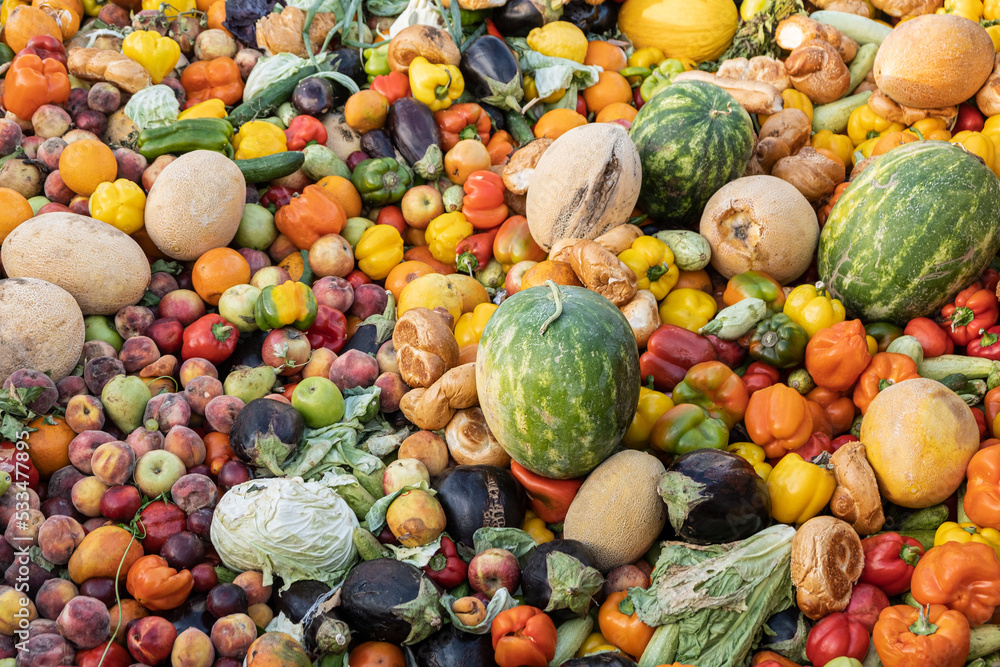 Expired Organic bio waste. Mix Vegetables and fruits in a rubbish bin ...