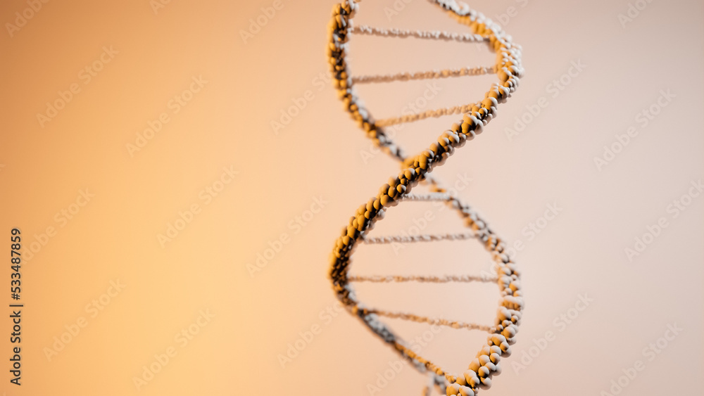 DNA Deoxyribonucleic acid, structure of double helix molecule, Polynucleotide chains, atoms ...
