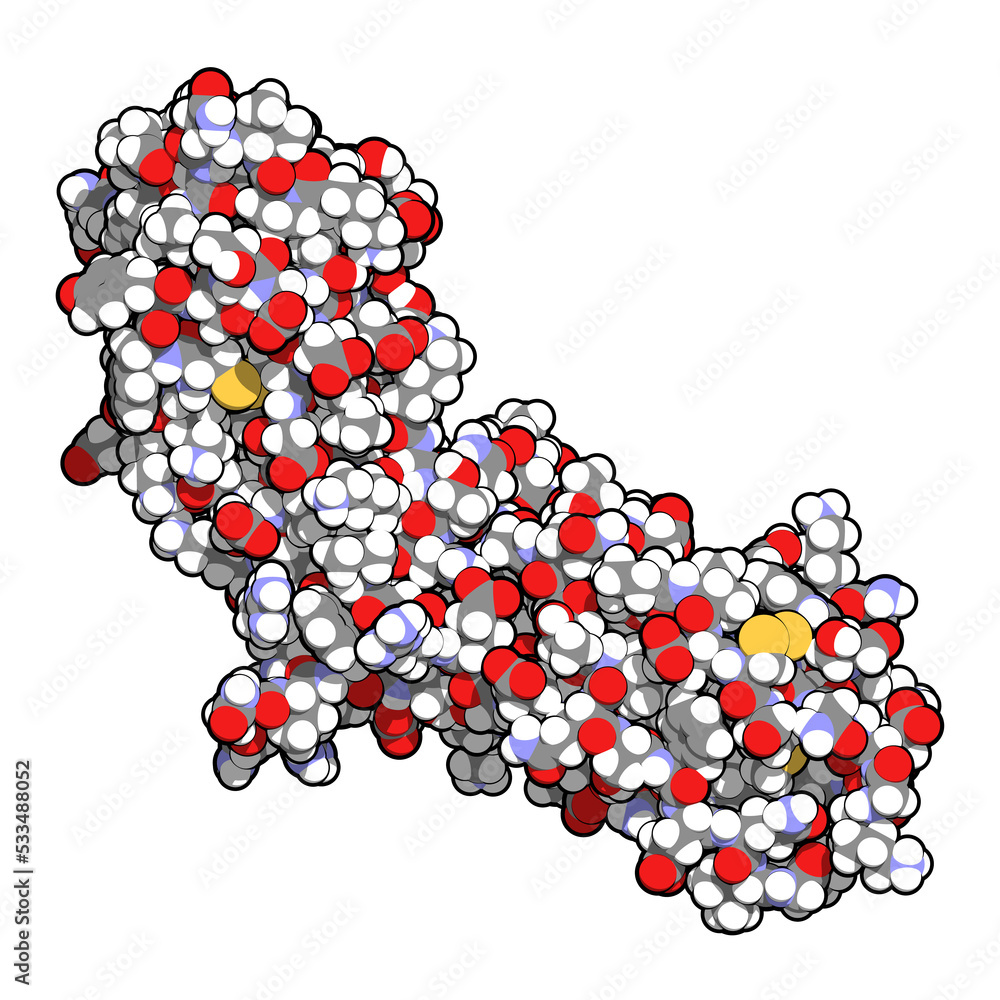 Tissue Factor Tf Extracellular Part Protein Essential In Extrinsic