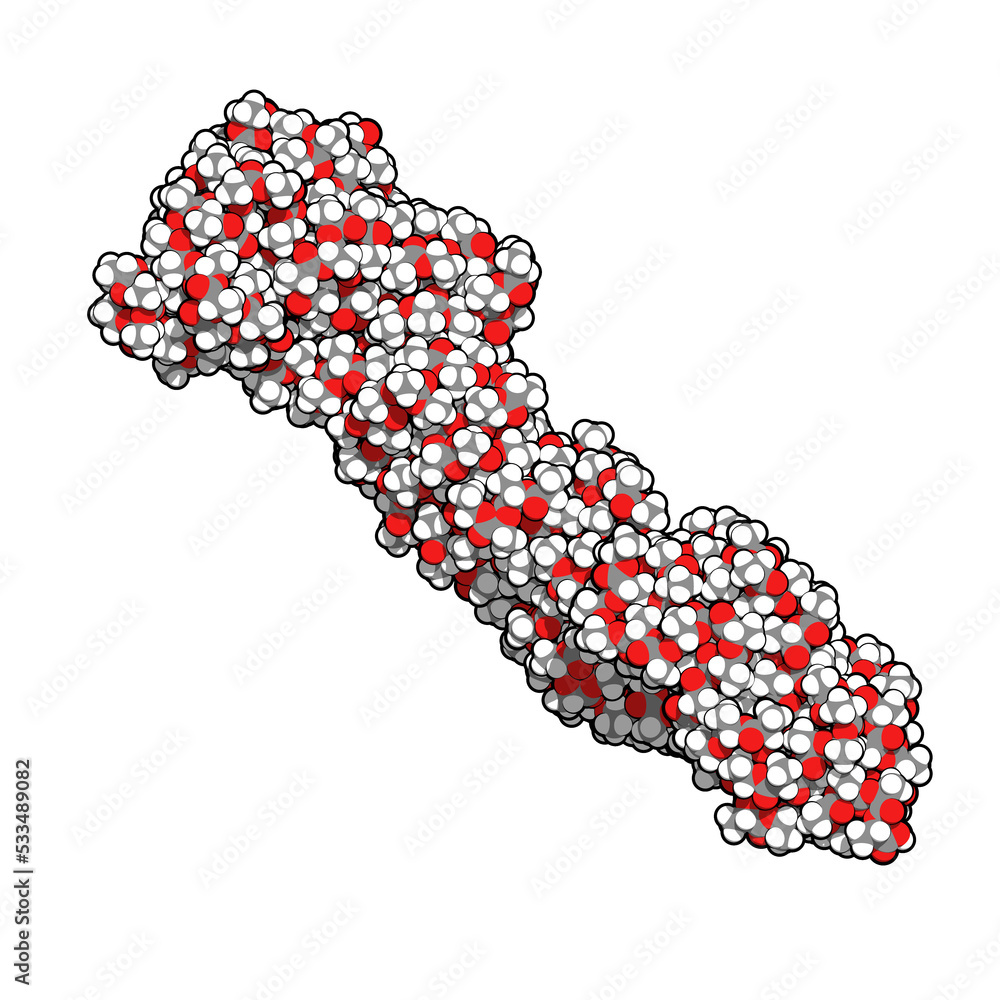 Polylactic acid (PLA, polylactide) bioplastic, chemical structure ...