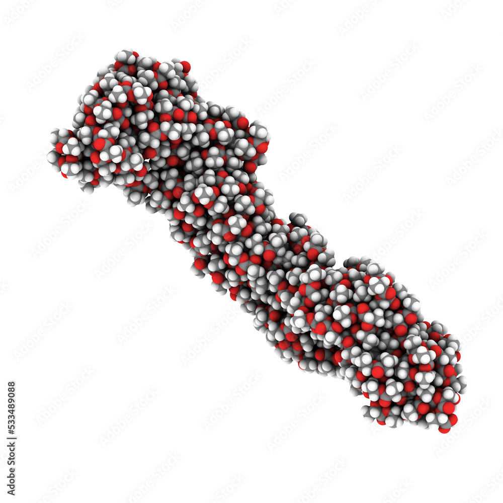 Polylactic acid (PLA, polylactide) bioplastic, chemical structure ...