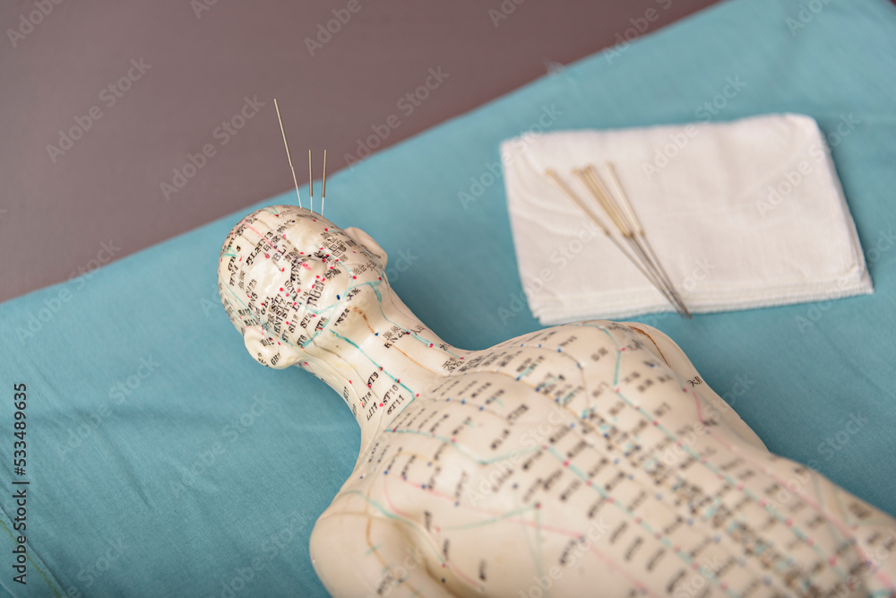 Acupuncture Model Energy Meridians Message Banner. acupuncture dummy ...