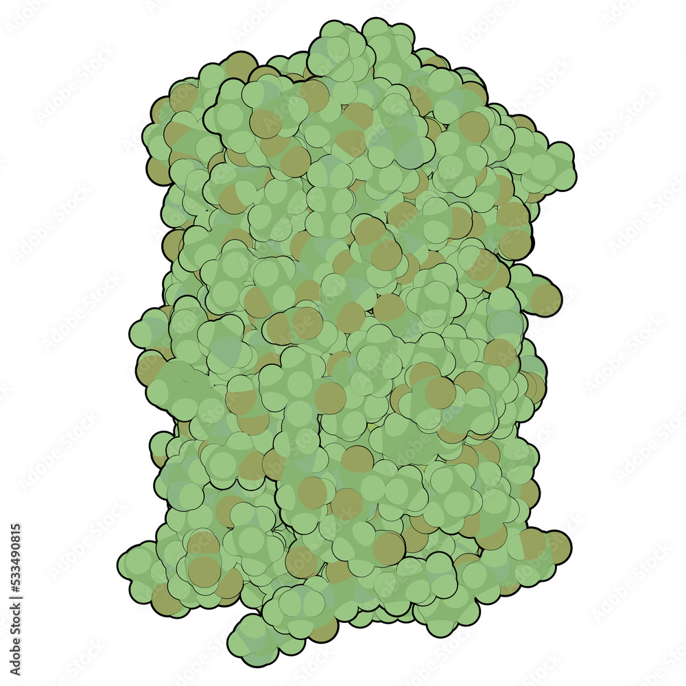 Green fluorescent protein (GFP), chemical structure. Often used in ...