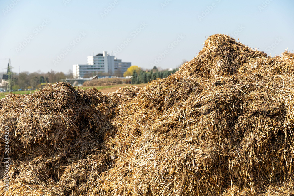 Dung heap with a view of a high-rise building Stock Photo | Adobe Stock