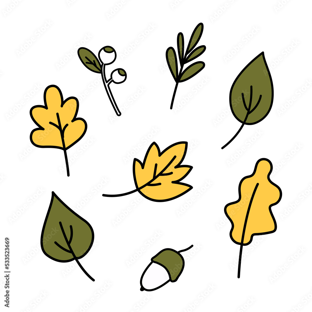Autumn leaves outline set. Different types of fallen leaves autumn ...