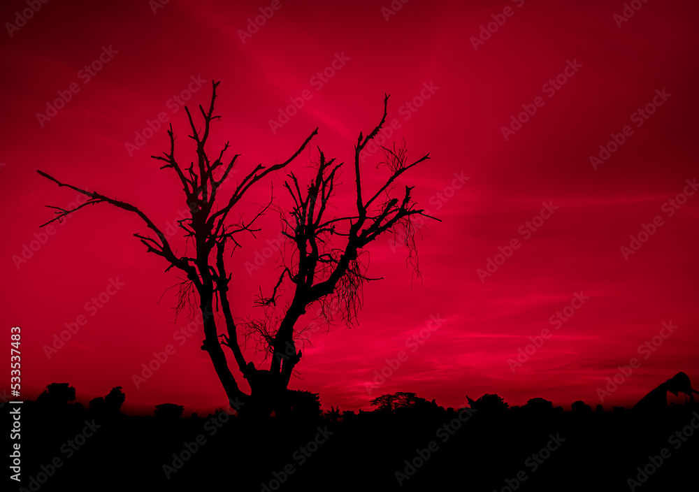 leafless dry black tree with spooky blood red sky. scary horror tree ...