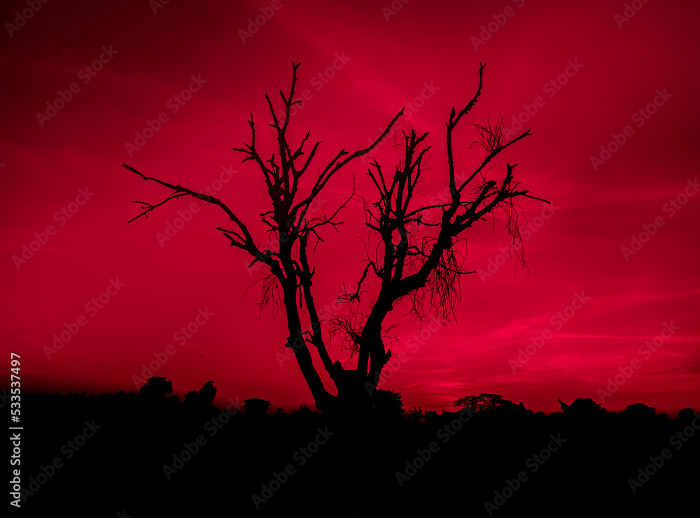 leafless dry black tree with spooky blood red sky. scary horror tree ...
