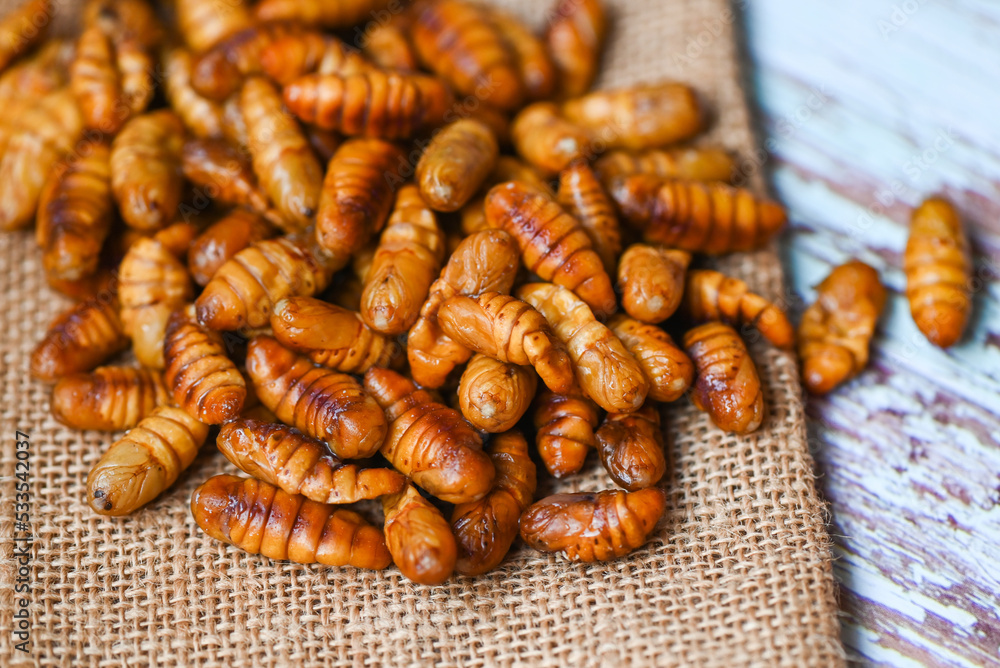 pupa on sack background, fry silk worms - fried pupa for food beetle ...