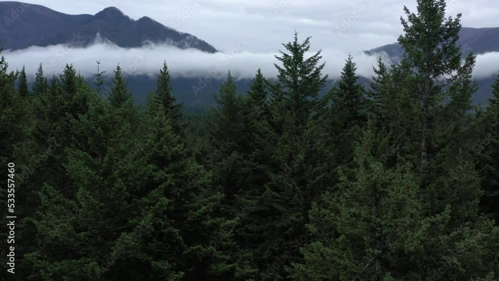 Flying up and revealing beautiful nature during moody weather in the ...