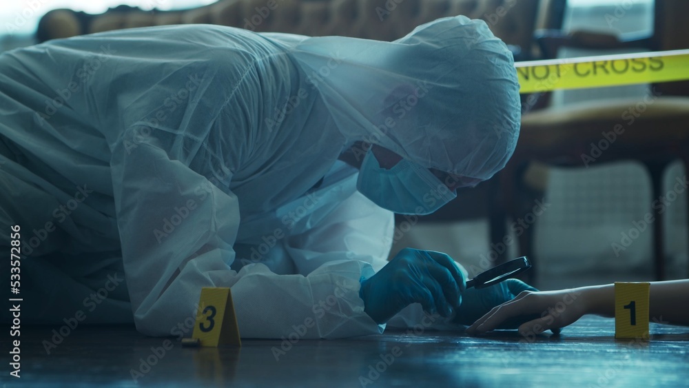 Detective Collecting Evidence in a Crime Scene. Forensic Specialists ...