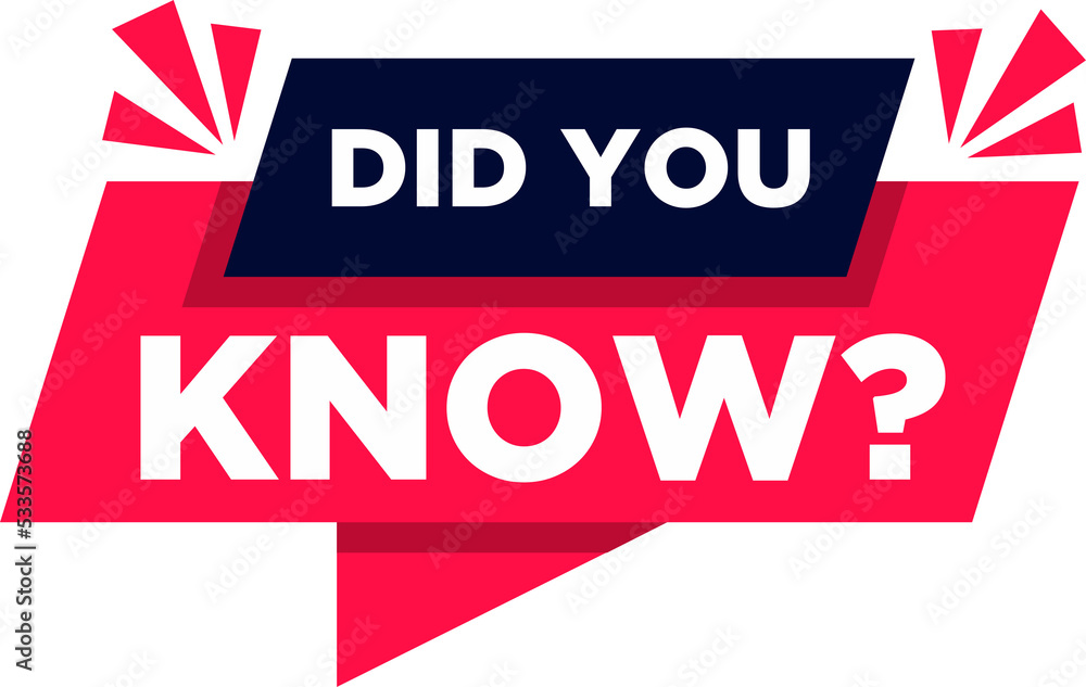 Vector Illustration Did You Know Speech Bubble Stock Illustration ...