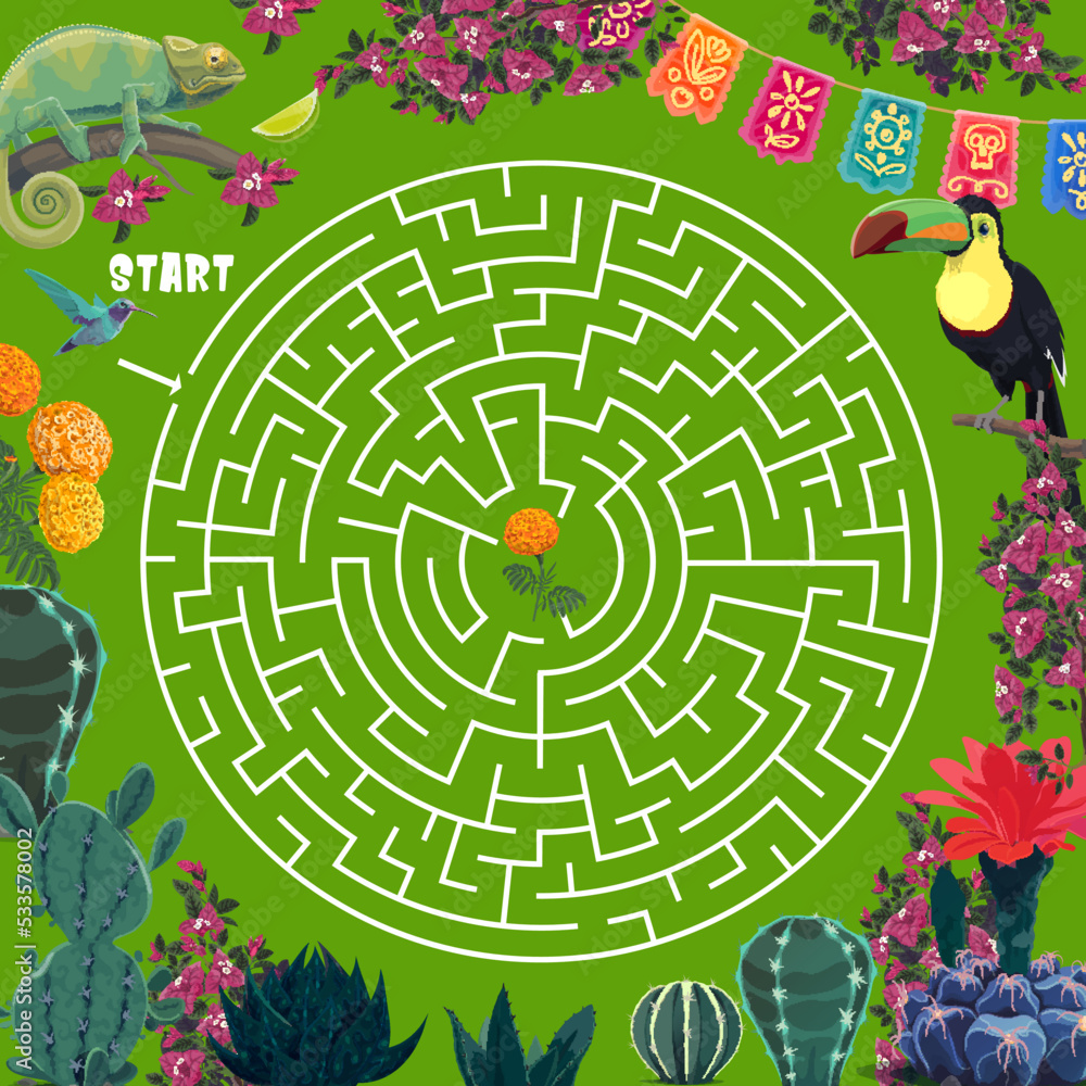 Labyrinth maze game. Mexican cactuses, toucan, chameleon, hummingbird ...