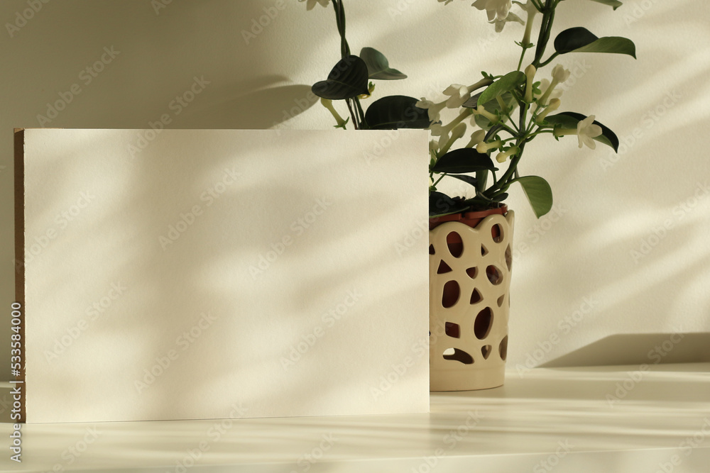 natural lights and shadows on white paper page with modern plant on the ...