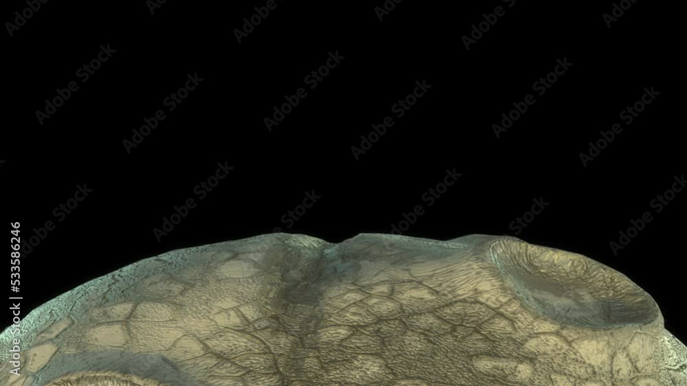 3D rendering animation of model of an asteroid or meteorite rotating on ...