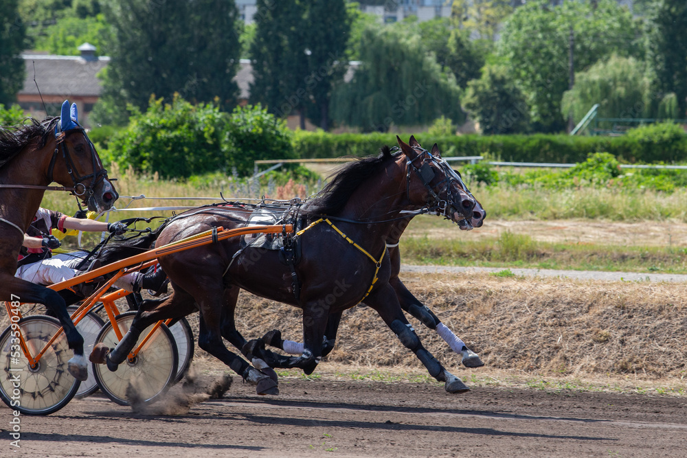 Equestrian sports event at the hippodrome. French trotting horse races ...
