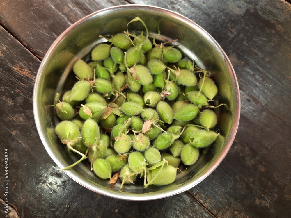 Green chickpeas pod. chickpea is an annual legume of the Fabaceae ...