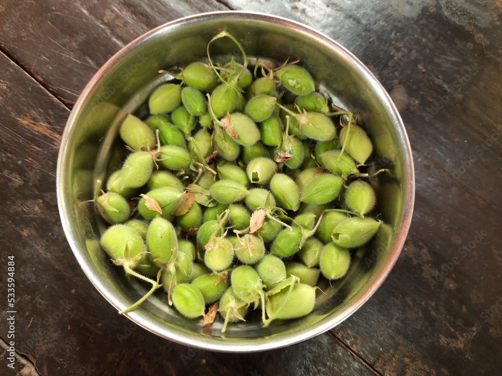 Green chickpeas pod. chickpea is an annual legume of the Fabaceae ...