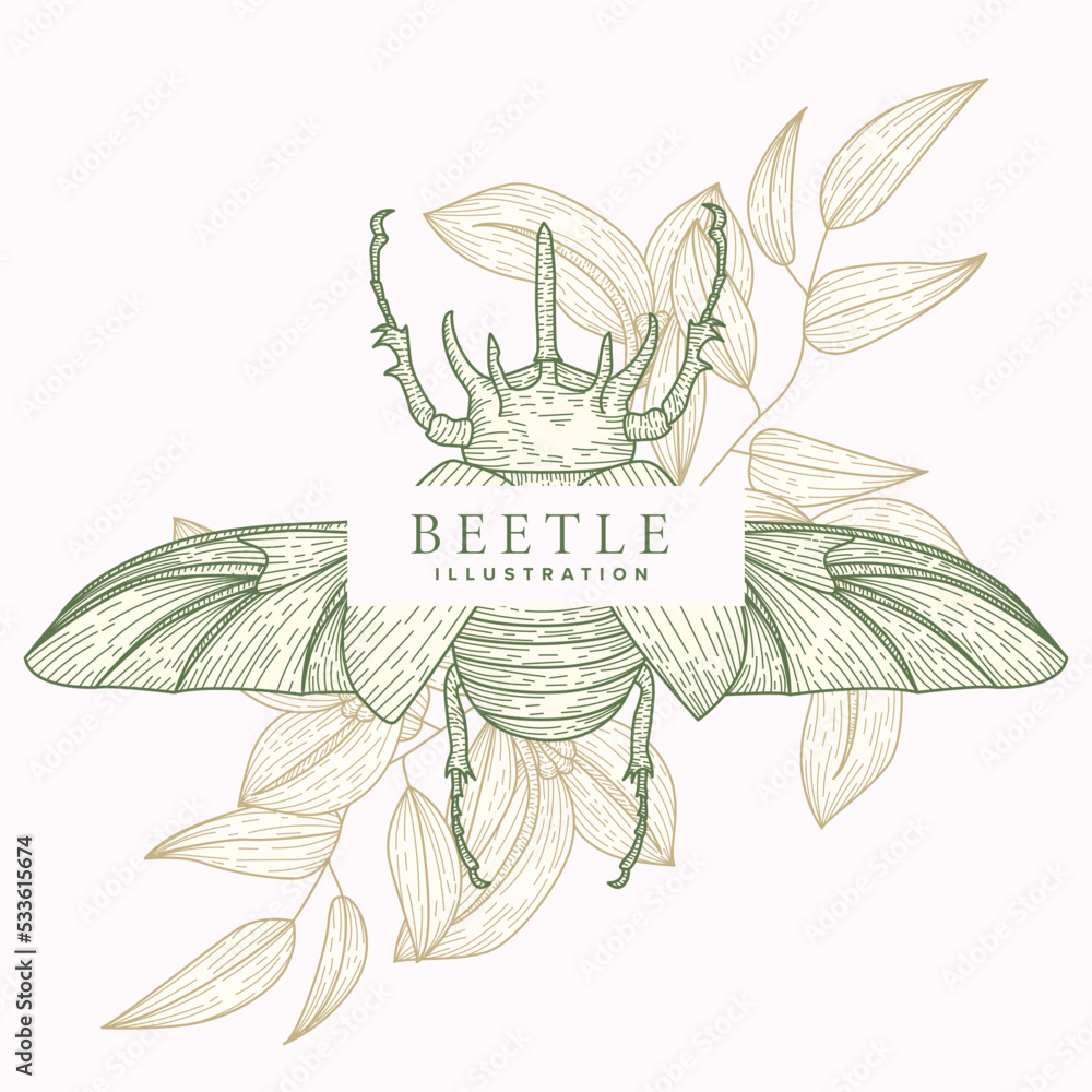 Beetle Illustration Stock Vector Adobe Stock