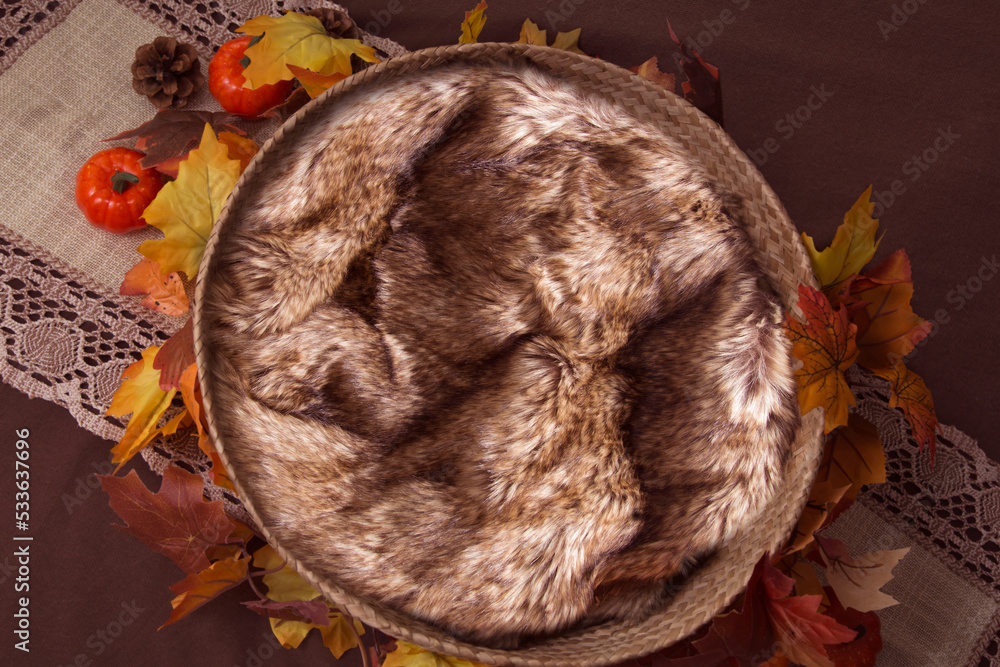 Backdrop newborn, fondo digital otoño, telon digial rustico, canasta ...