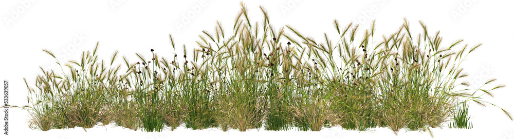 grass line 5 frontal Stock Illustration | Adobe Stock