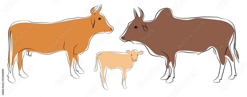Set of cows with shiny black stripes. Orange Background. Cow Silhouette ...