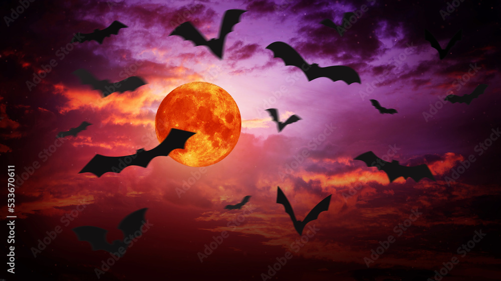 Halloween, Blood Moon ,Red moon, real full blood moon with bats in ...